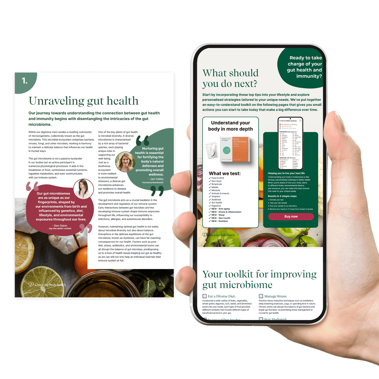 The Link Between Gut Health and Immunity – Check My Body Health New Zealand